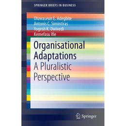Springer International Publishing Organisational Adaptations - Oluwaseun E. Adegbite, Antonis C. Simintiras, Yogesh K. Dwivedi, Kemefasu Ifie, Kartoniert (TB)