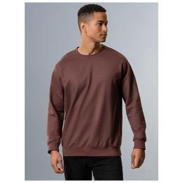 TRIGEMA Sweatshirt »Sweatshirt aus Biobaumwolle« kastanie M M BIO Sweat-Qualität