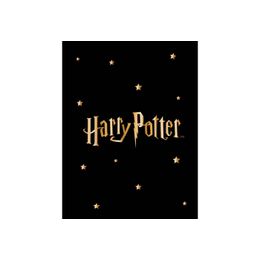 Kinderdecke Harry Potter Stars 130 x 170 weich und kuschelig Coral Fleecedecke