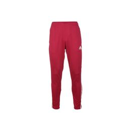 adidas Sportswear Sporthose Tiro Trainingshose Herren