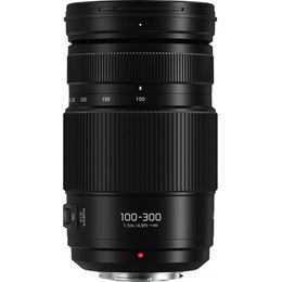 Panasonic Lumix G Vario 100-300mm f4.0-5.6 II OIS