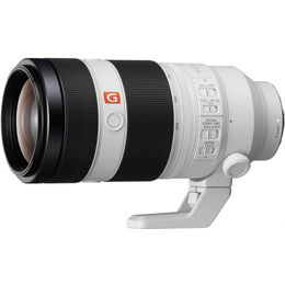 Sony FE 100–400 mm f4,5–5,6 GM OSS Einzelstück