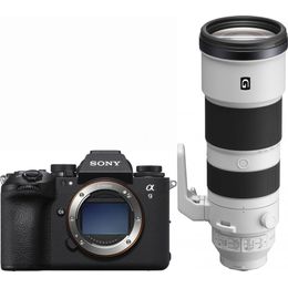 Sony Alpha ILCE-9 III + Sony SEL 200-600mm f5,6-6,3 - abzgl. 100,00€ Sommer Cashback - abzgl. 100,00€ Welcome to Alpha-Bonus