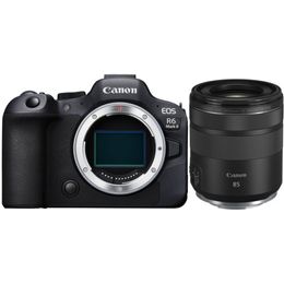 Canon EOS R6 II + RF 85mm f2 Macro IS STM