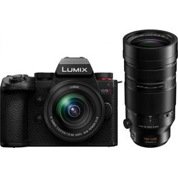 Panasonic Lumix G9 II + 12-60mm f3,5-5,6 + Leica DG 100-400mm f4,0-6,3