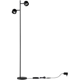 Stehlampe Paulmann "Puric Pane" Lampen Gr. 2 flammig, Ø 18,0 cm Höhe: 145,0 cm, schwarz Standleuchten LED, dimmbar, SchwarzGrau, Metall