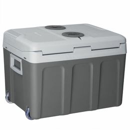 Juskys - elektrische Kühlbox 40 Liter 12 v / 230 v für Auto, Lkw, Reisemobil, Camping - Mini Kühlschrank kalt & warm - thermoelektrische Box - Grau