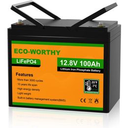 ECO-WORTHY 12V 100Ah Low Temp Cut-Off LiFePO4 Akku Lithium Batterie mit bms schutz und 3000-15000 Zyklen,1280Wh Lithiumbatterie für Wohnmobil,Solaranlage,
