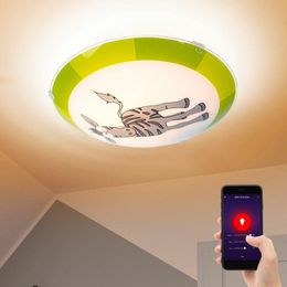 etc-shop Decken Lampe Kinder Zimmer Motiv Zebra Alexa Google App im Set inkl. Smart Home rgb led Leuchtmittel
