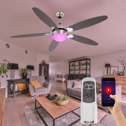 etc-shop Smart Decken Ventilator Alexa Google fernbedienung Leuchte dimmbar im Set inkl. rgb led Leuchtmittel