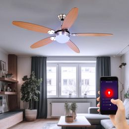 etc-shop Smart Home Decken Ventilator Alexa Google App Leuchte dimmbar im Set inkl. rgb led Leuchtmittel