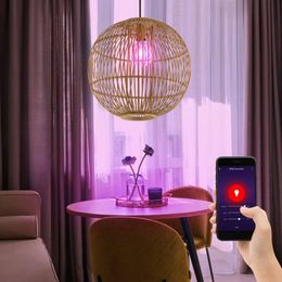 etc-shop Smart Kugel Decken Hänge Bambus Leuchte Lampe dimmbar steuerbar per App Handy Sprache im Set inkl. rgb led Leuchtmittel