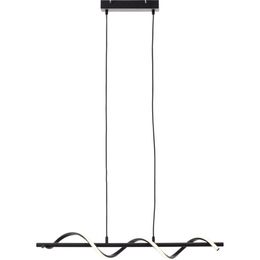 Brilliant - Lampe Eunice led Pendelleuchte schwarz matt schwarz 22 w led integriert - schwarz