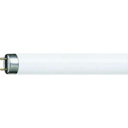 Leuchtstoffröhre eek: g (a - g) G13 18 w Neutralweiß Röhrenform (ø x l) 26 mm x 600 mm 10 - Philips