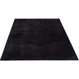 the carpet Teppich, waschbar und Anti-Rutsch, Uni-Farben, Schwarz, 120 cm, Rund