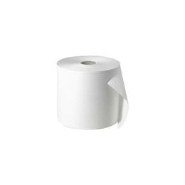 Fripa - Putzrolle 28 cm x 570 m (b x l) 2-lagig Papier 100 % recycelt weiß