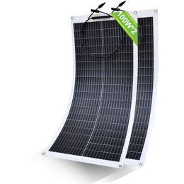 ECO-WORTHY - 2x 100W 12V Solarpanel Flexibel Monokristallines Solarpanel, Solarmodul mit Ladekabel für Wohnmobil Auto Boot 12V Batterien