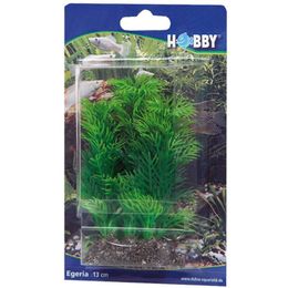 HOBBY - Egeria, 13 cm - künstliche Aquariumpflanze