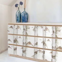 MICASIA Möbelfolie Birke - Birkenwand Holzfolie- Folie für Möbel selbstklebend Größe HxB: 50cm x 50cm