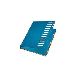 Leitz - Ordnungsmappe Deskorganizer Color din A4 350g/m² Karton marmoriert Farbe: blau Farbe des Fächerblocks: mehrfarbig 12 Fächer