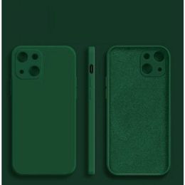 Bunt Case Hülle mit Kameraschutz Back Cover Bumper Silikon Schutzhülle kompatibel mit iPhone 13 Pro Max Grün