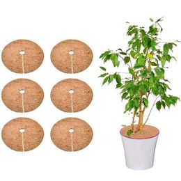 6 Stück Coco Tree Mulch Coir, Coconut Ring Mat Fibers Protector Disc Cover für Pflanze 8 inch - Rhafayre