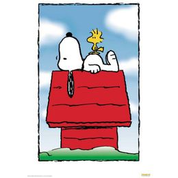 Poster Snoopy & Woodstock (Hütte) - PEANUTS