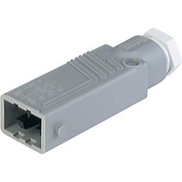 931 692-106-1 Netz-Steckverbinder stas Stecker, gerade Gesamtpolzahl: 5 + pe 6 a Grau 1 s - Hirschmann