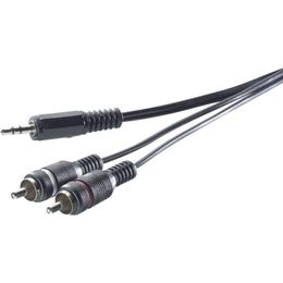 Grau SpeaKa Professional SP-1300904 Cinch / Klinke Audio Anschlusskabel [2x Cinch-Stecker - 1x Klinkenste