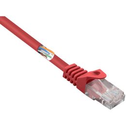 Renkforce RF-5043840 RJ45 Netzwerkkabel, Patchkabel CAT 5e U/UTP 1.00 m Rot mit Rastnasenschutz 1 St