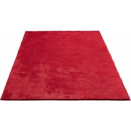 the carpet Teppich, waschbar und Anti-Rutsch, Uni-Farben, Rot, 120 cm, Rund