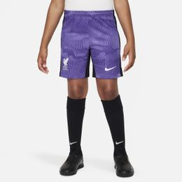 Liverpool FC 2023/24 Stadium Third Nike Dri-FIT Fußball-Shorts für ältere Kinder - Lila