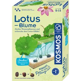 Kosmos Experimentier-Set LOTUSBLUME