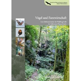 Vögel und Forstwirtschaft - Wulf Gatter, Hermann Mattes, Gebunden