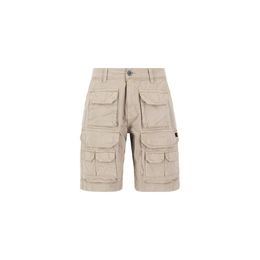 Alpha Industries Cargo Pants male Beige size 29