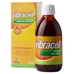 Allergosan Vibracell flüssig 300 ml