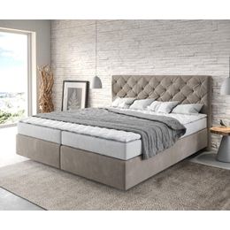 DeLife Boxspringbett Dream-Great