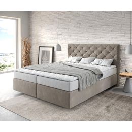 DeLife Boxspringbett Dream-Great