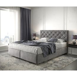 DeLife Boxspringbett Dream-Great