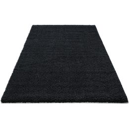 Teppich Home Affaire "Ariane" Teppiche Gr. B/L: 200 cm x 290 cm, 21 mm, 1 St., schwarz Esszimmerteppiche