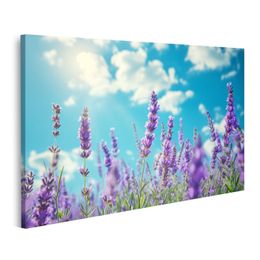 islandburner Leinwandbild Nahaufnahme: Duftende Lavendelblüten unter blauem Himmel - Bio-Kosmeti