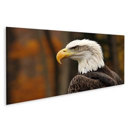 islandburner Leinwandbild Ein Weißkopfseeadler schwebt majestätisch gegen den azurblauen Himmel