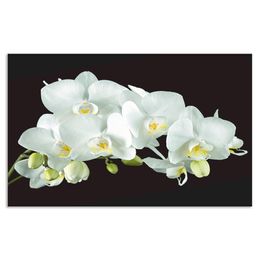 Küchenrückwand Artland "Weiße Orchidee auf schwarzem Hintergrund" Spritzschutzwände Gr. B/H: 80 cm x 50 cm, weiß Küchendekoration