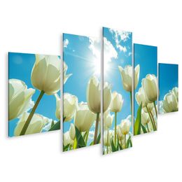 islandburner Leinwandbild Nahaufnahme eines weiäen Tulpenfeldes vor blauem Himmel - Frühlingsidy