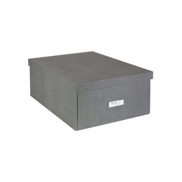 BIGsoBox Ordnungsbox "Katrin" in Grau - (B)34,5 x (H)18,5 x (T)45 cm