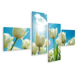 islandburner Leinwandbild Nahaufnahme eines weiäen Tulpenfeldes vor blauem Himmel - Frühlingsidy