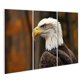 islandburner Leinwandbild Ein Weißkopfseeadler schwebt majestätisch gegen den azurblauen Himmel