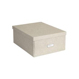 BIGsoBox Ordnungsbox "Katrin" in Beige - (B)34,5 x (H)18,5 x (T)45 cm