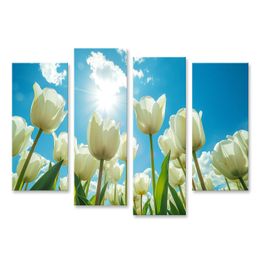 islandburner Leinwandbild Nahaufnahme eines weiäen Tulpenfeldes vor blauem Himmel - Frühlingsidy