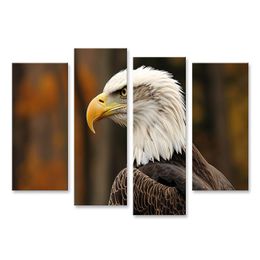 islandburner Leinwandbild Ein Weißkopfseeadler schwebt majestätisch gegen den azurblauen Himmel